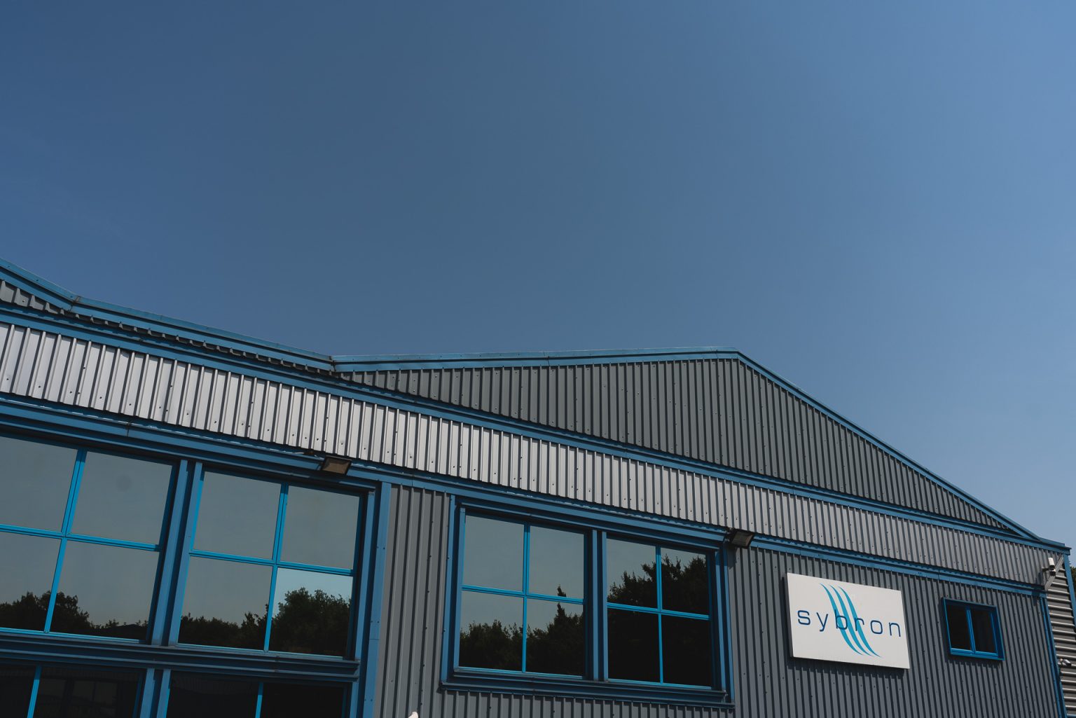 Why Sybron - Sybron