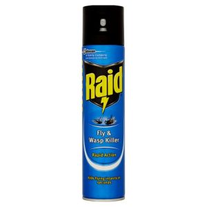 Raid Fly & Wasp Killer 300ml - Sybron